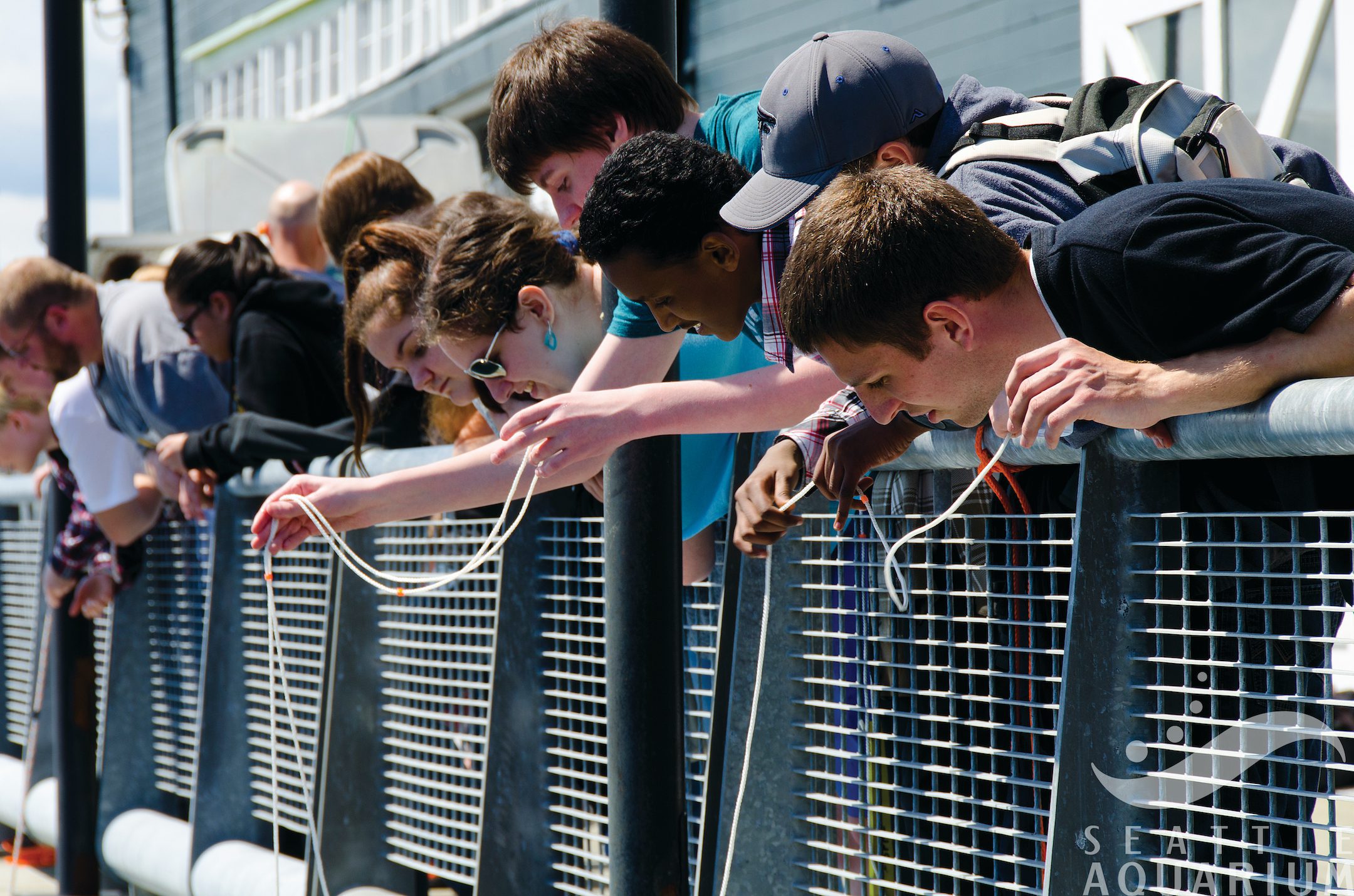 Waterfront Block Party 2023 - Friends of Waterfront Park