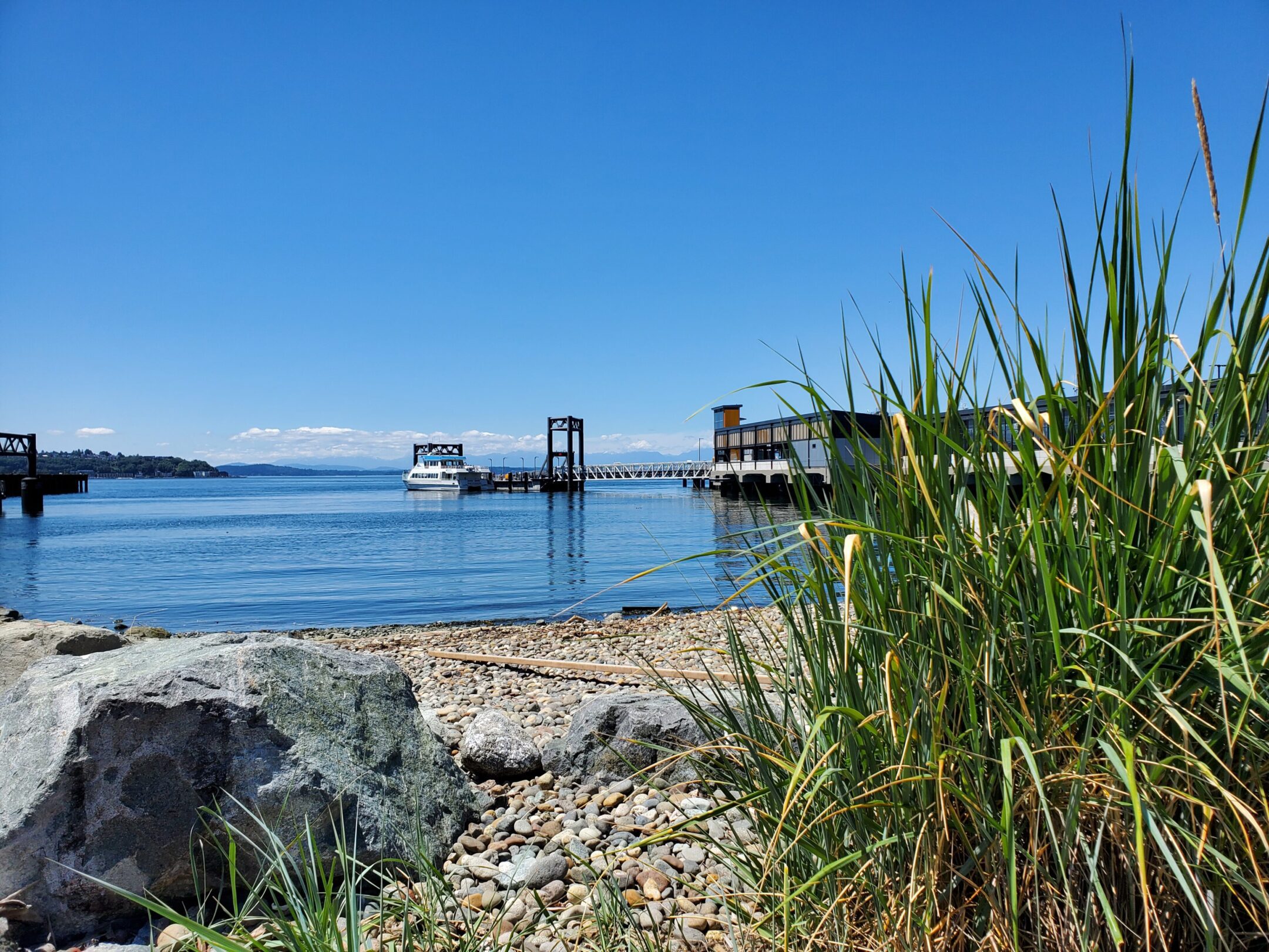 The New Waterfront Park in Seattle | Friends of Waterfront Park