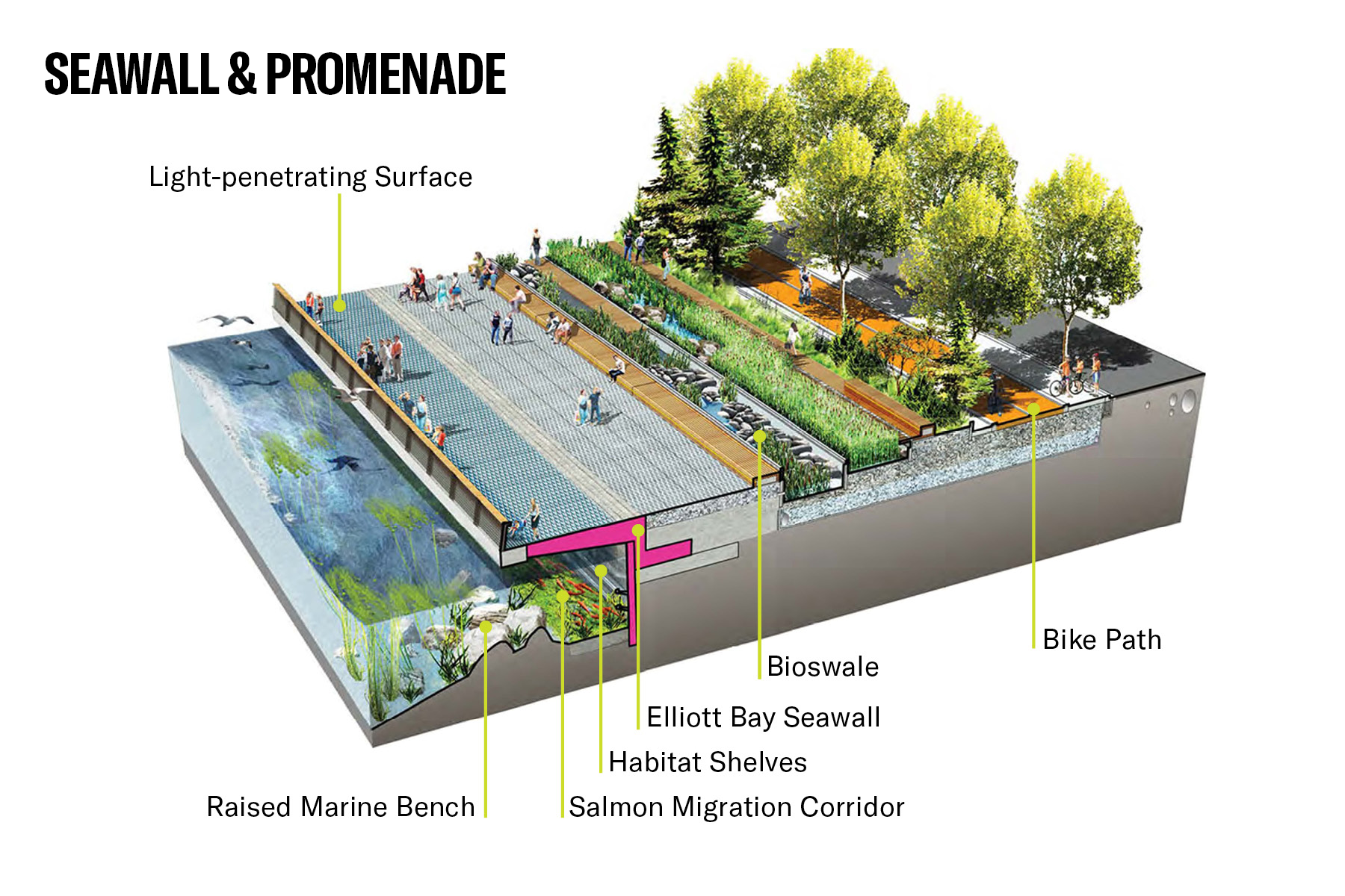 Your Guide to Waterfront Park in Seattle