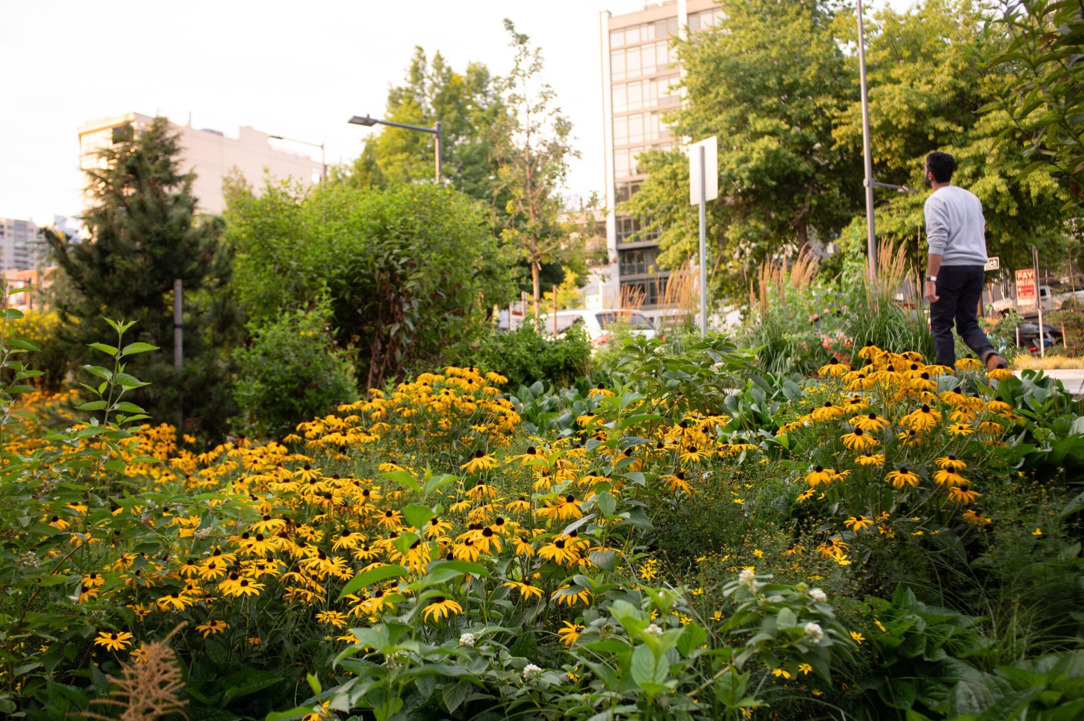 Seattle Disability Arts Festival | Celebrate Disability Pride Month