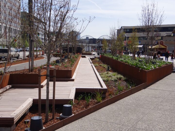 Your Guide to Waterfront Park in Seattle