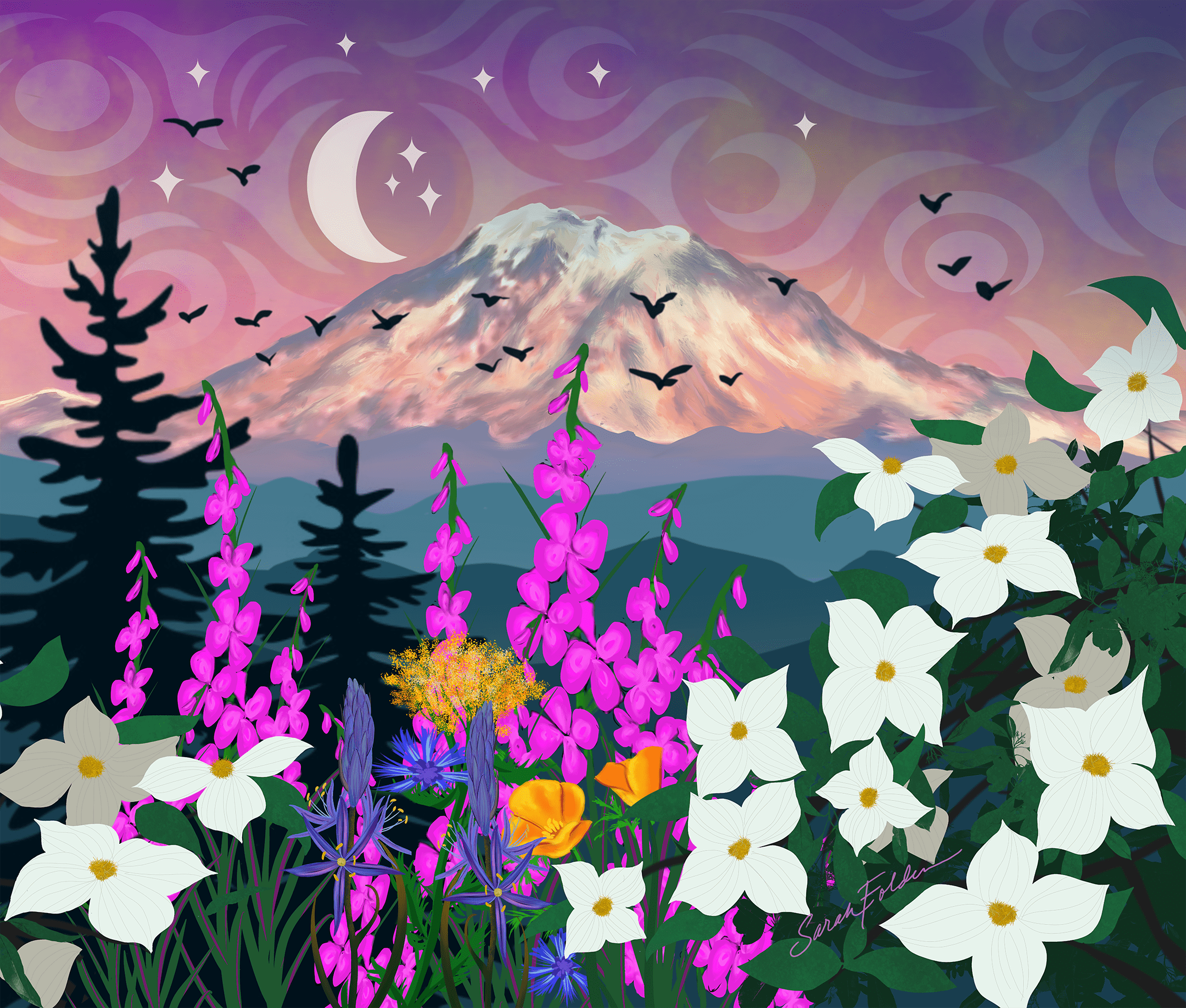 Promenade Pop-ups - Friends of Waterfront Park