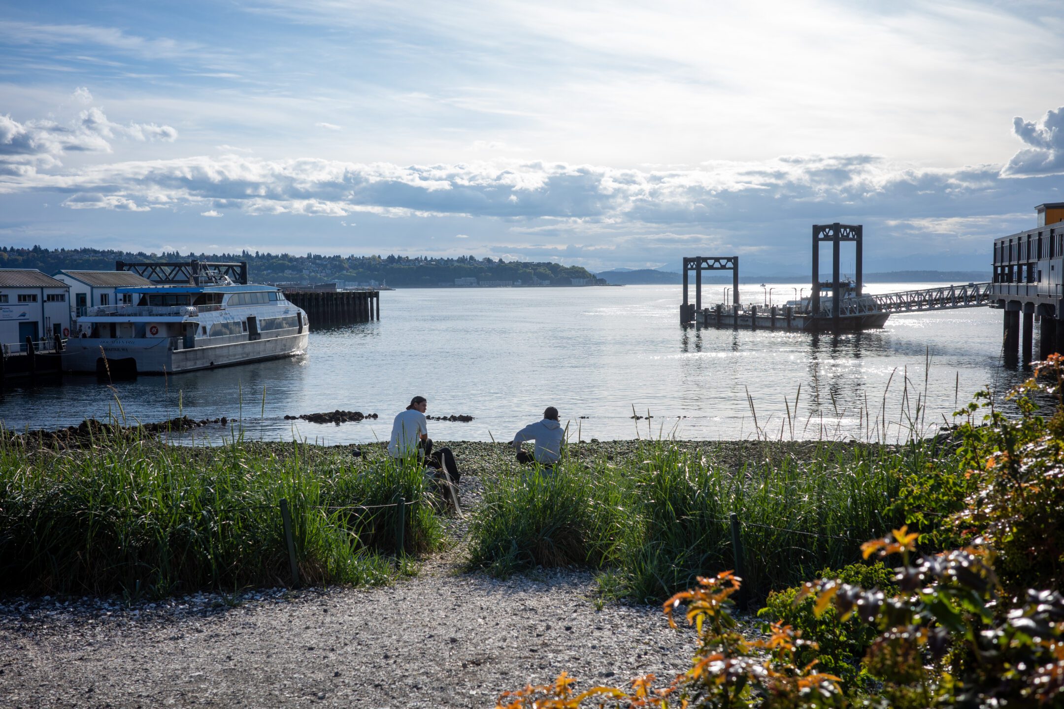 The New Waterfront Park in Seattle | Friends of Waterfront Park
