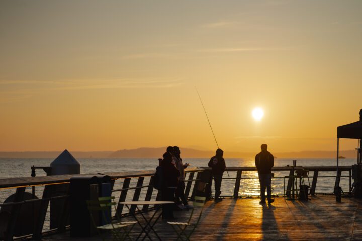 Visit Pier 62 | Waterfront Park Seattle