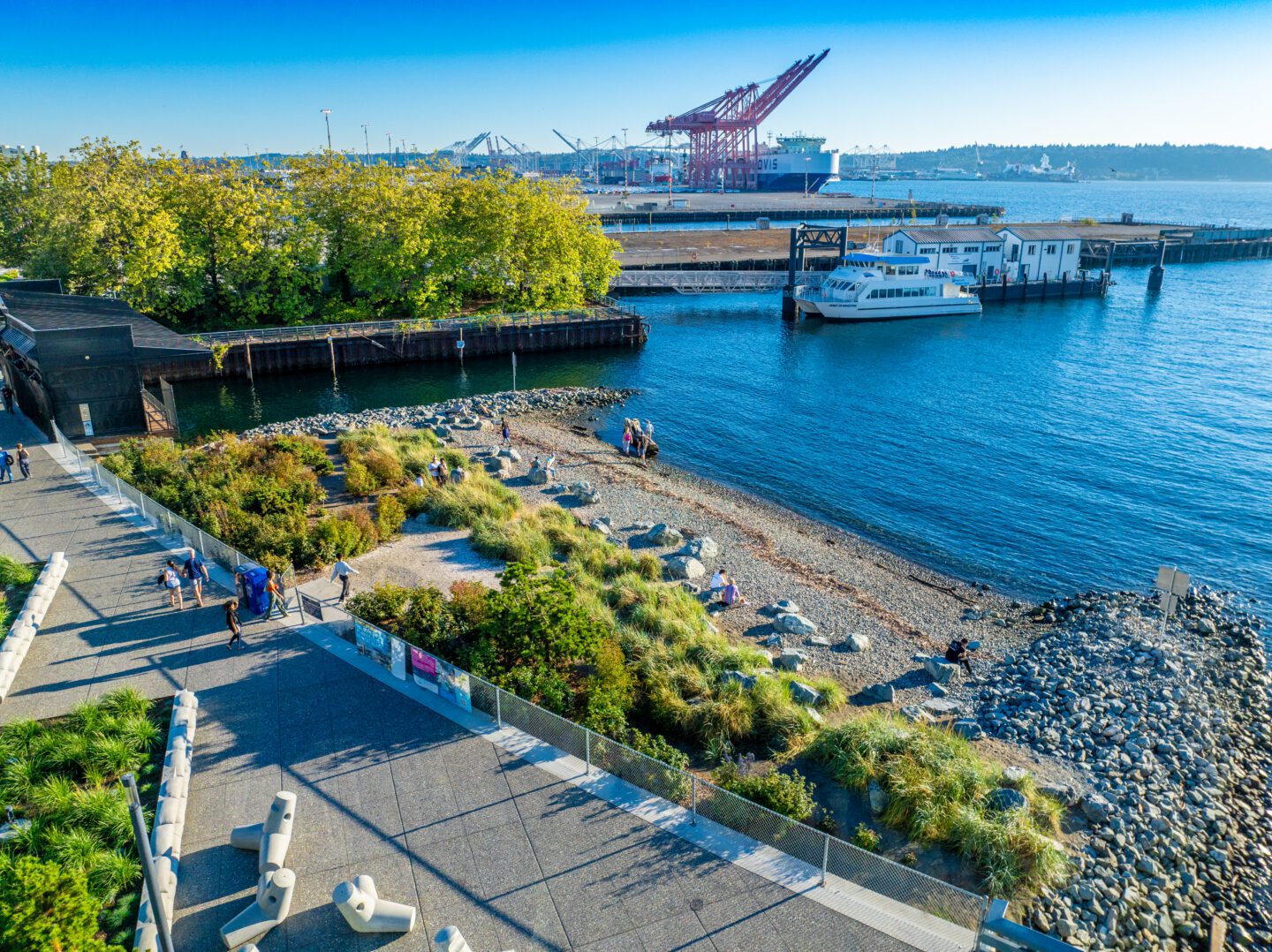 Visit Pioneer Square Habitat Beach | Waterfront Park Seattle