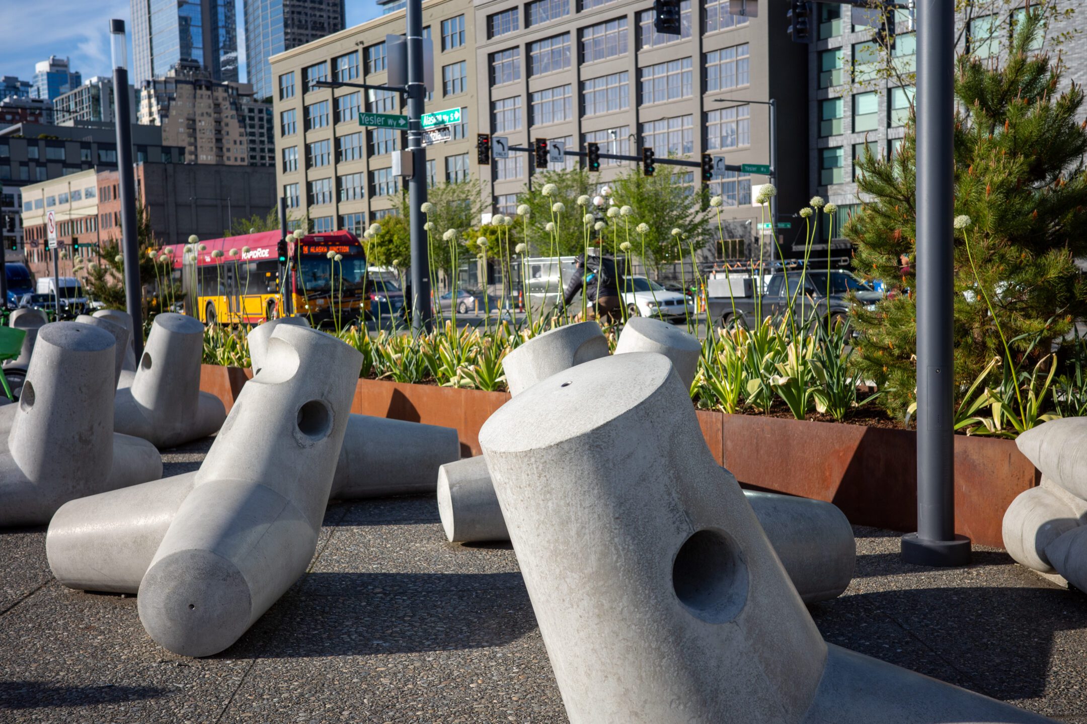 The New Waterfront Park in Seattle | Friends of Waterfront Park