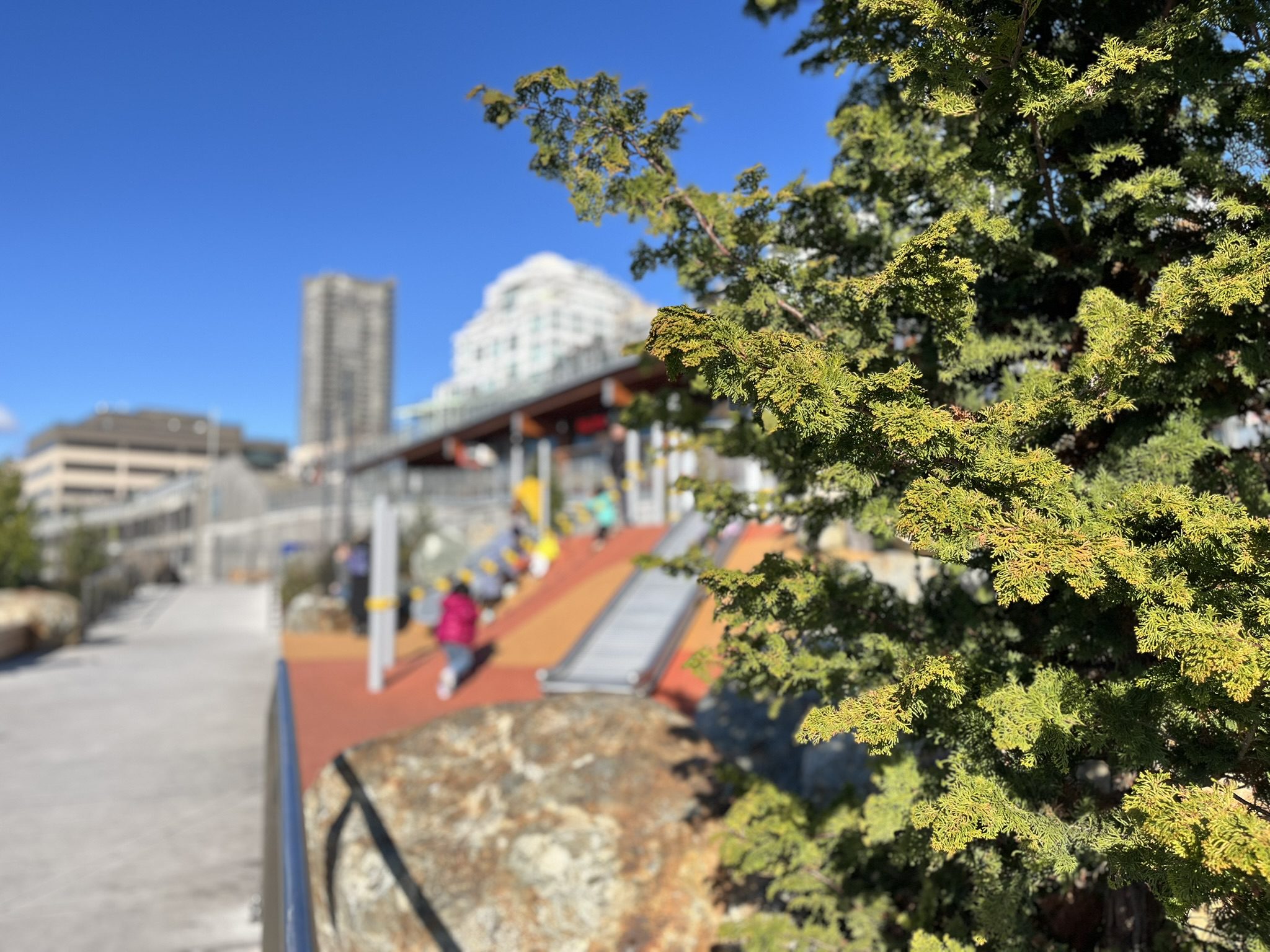 Visit Overlook Walk | Waterfront Park, Seattle