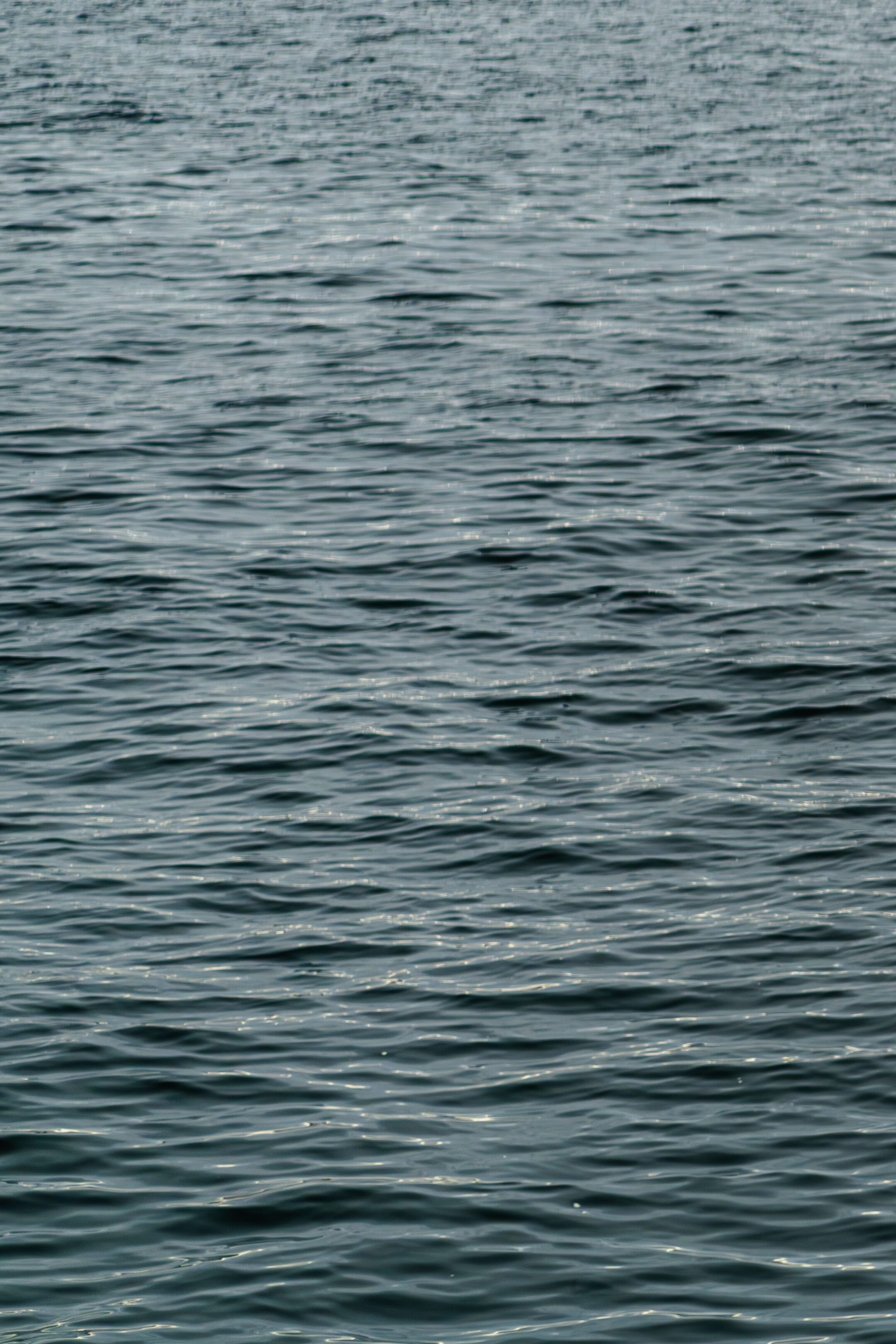 Salmon Homecoming | Free Cultural Events on Seattle's Pier 62