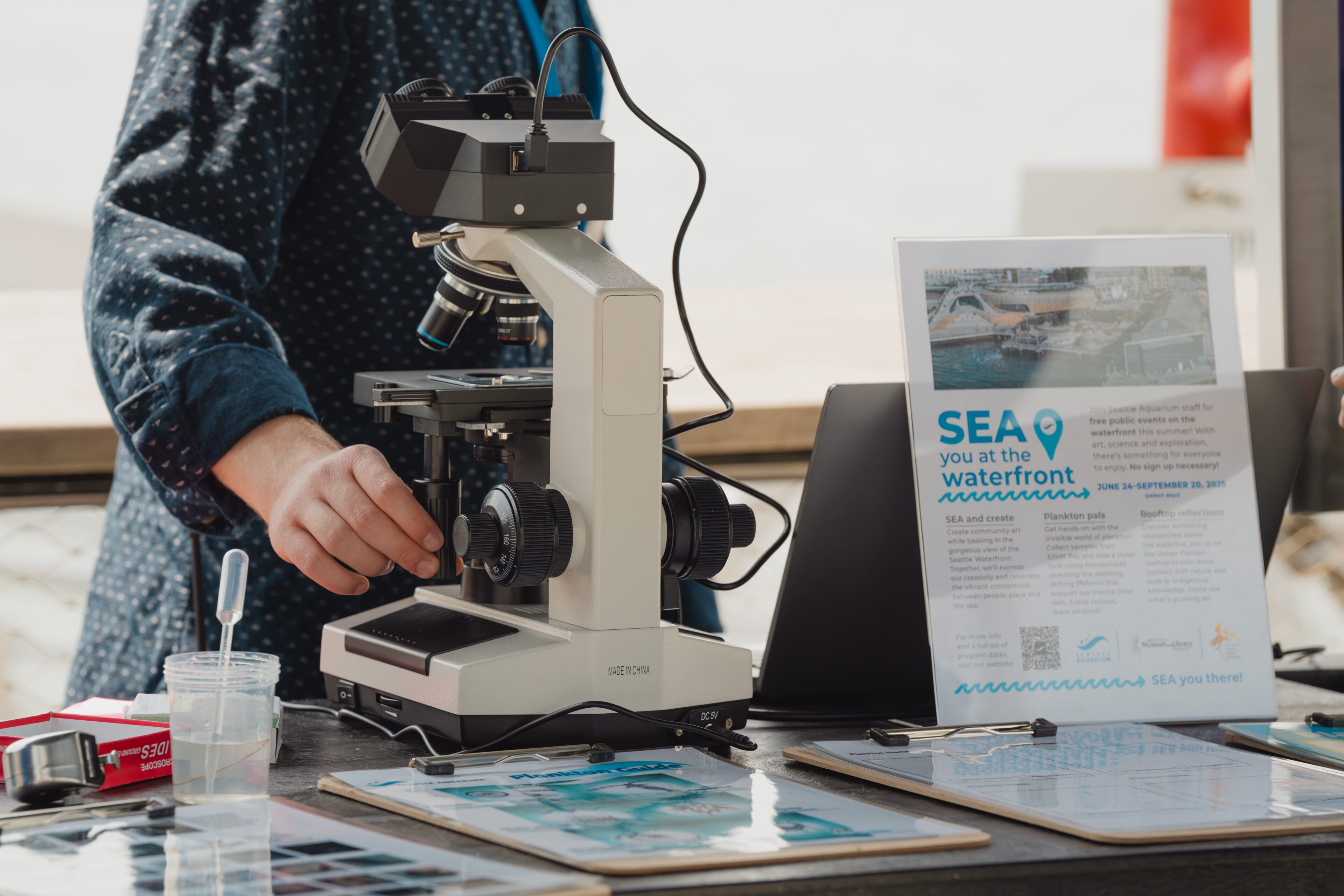 Sea You on the Waterfront | Free Events at Pier 62